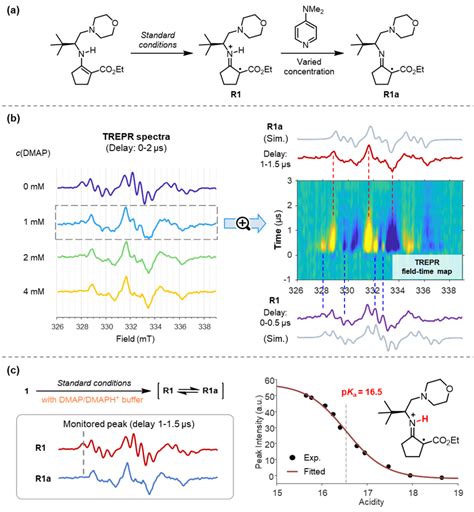 清华大学罗三中、焦雷、郭兴伟：活性自由基中间体的直接观测