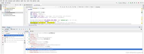 ONNXRUNTUIME实例分割网络说明 c onnxruntime实例分割 CSDN博客