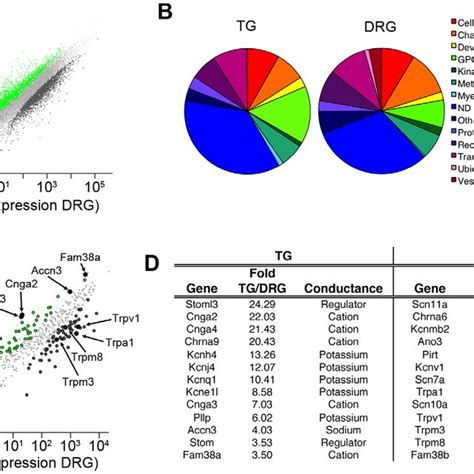 Transcriptome Profiling Of Mole Trigeminal And Dorsal Root Ganglia A