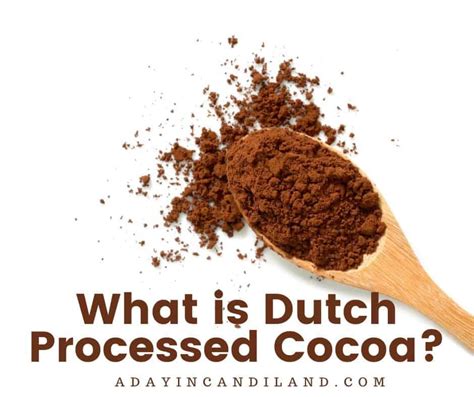 Can You Substitute Dutch Cocoa For Cocoa Powder