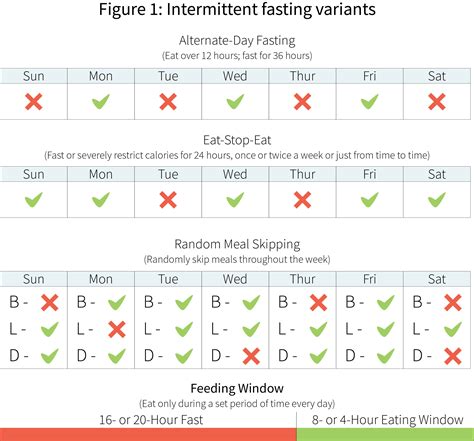 The Lowdown On Intermittent Fasting Examine