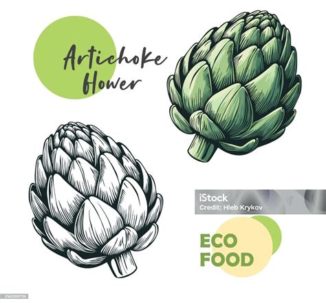 아티 초크 꽃 손으로 그리고 스케치 벡터 일러스트 레이 션 개념에 대한 스톡 벡터 아트 및 기타 이미지 개념 그리기 낙서 드로잉 Istock