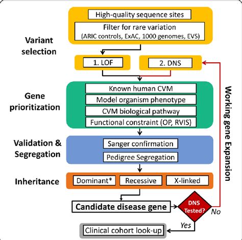 Discovery Strategy For Lsl Cohort Imposing A Candidate List Download Scientific Diagram