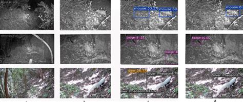 Detection Effects Presented By Different Algorithms A Original Image