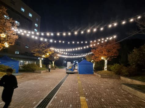 2022 서울대학교 관학사 겨울맞이 경관조명 조성 Led조명 빛축제 레이져조명 불빛거리 2022년