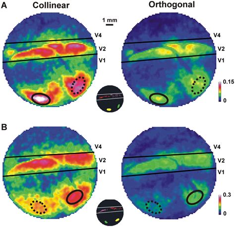 α Coherence Maps In Collinear And Orthogonal Conditions A Average