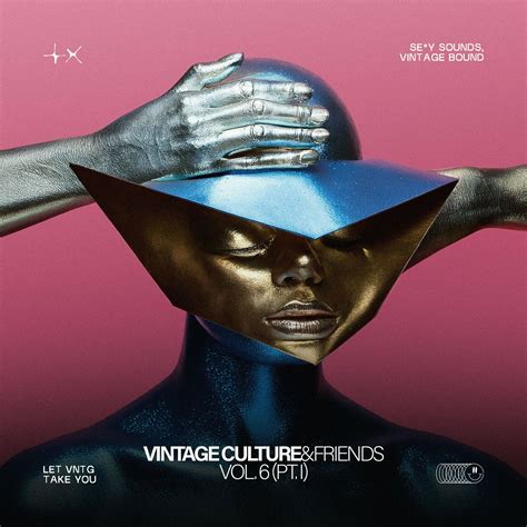 Vintage Culture And Friends Vol 6 Pt Ii Edmtunes