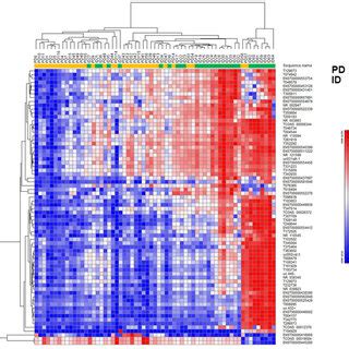 Hierarchical Clustering Analysis Of Differentially Expressed MRNAs In
