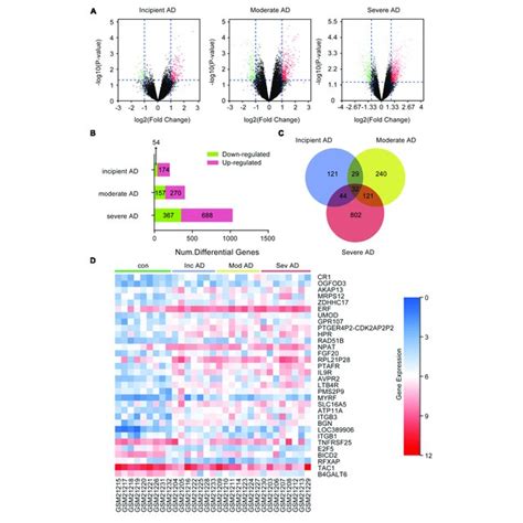 Differentially Expressed Genes Degs In The Hippocampus Of