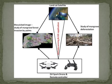 Application Of Remote Sensing And Gis In Forest Monitoring Ppt