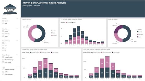 Mavenanalytics Powerbi Dataanalytics Powerbi Customerretention