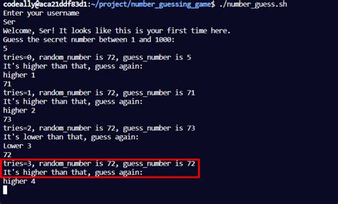 Build A Number Guessing Game Backend Development The Freecodecamp Forum