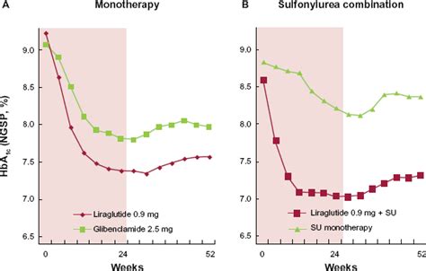 Liraglutide Mono And Sulfonylurea Combination Therapies In Japanese Download Scientific