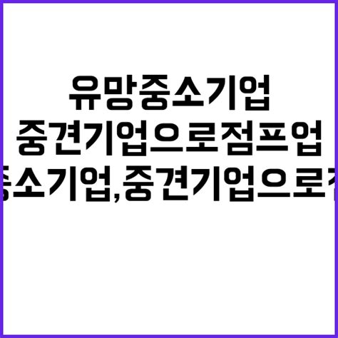 유망 중소기업 중견기업으로 점프업 지원한다 대전진
