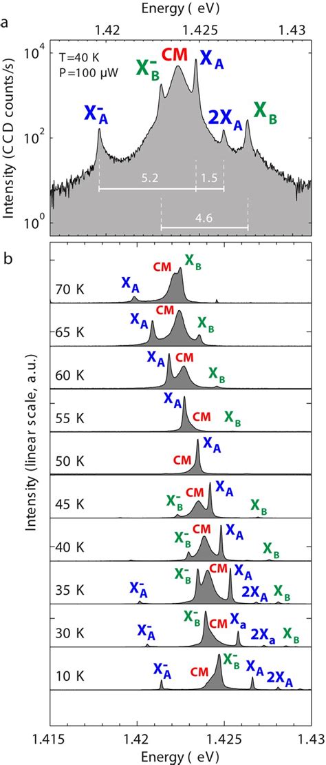 Deterministic Radiative Coupling Of Two Semiconductor Quantum Dots To The Optical Mode Of A