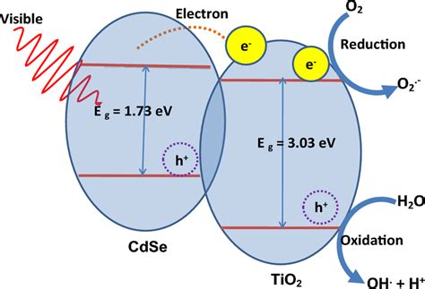 The Migration Of Charge Carriers In A Tio2 Composite Photocatalyst And