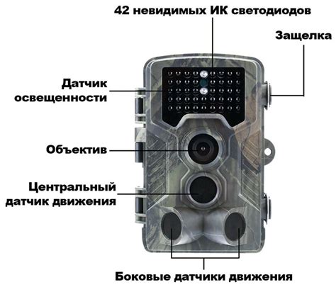 Фотоловушка Филин HC-800A (Ориг. с голограммой) - фотоловушка ...