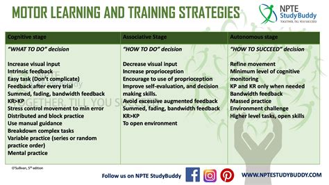 Neer Classification Artofit