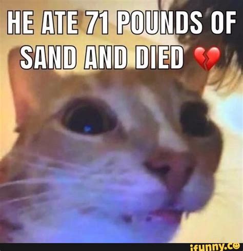 Running A Hatch Ranch In Oni Onimemes