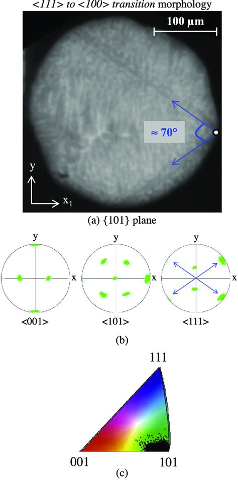 Tomography And EBSD Analysis Of The 1 0 1 Cross Section Represented Download Scientific