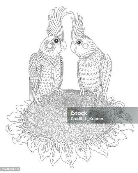 벡터 동화 코렐라 앵무새 사랑 해바라기 성인과 어린이를위한 색칠 공부 페이지 발렌타인 데이 빈티지 인사말 카드 잉꼬에 대한 스톡 벡터 아트 및 기타 이미지 Istock