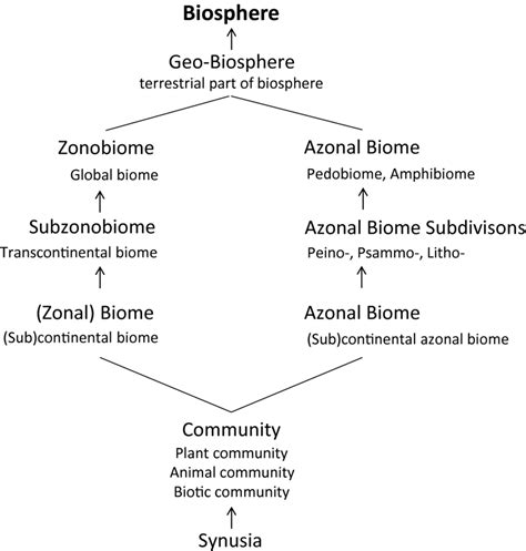 A Modified Classification Scheme Of Zonal And Azonal Terrestrial Biomes Download Scientific