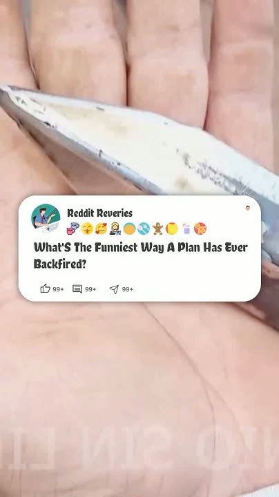 What's the funniest way a plan has ever backfired 🤔 #reddit - YouTube