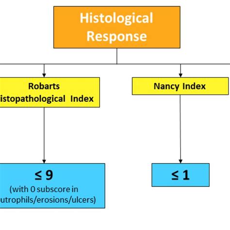 Histological Remission Definition Across Validated Scoring Systems For