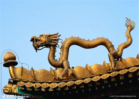 中国龙摄影图 传统文化 文化艺术 摄影图库 昵图网