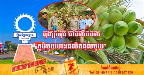 បន្ទាប់ពី នំអន្សមជ្រូកខ្មែរ ខេត្តស្ទឹងត្រែងសម្រេចយក ដូងក្រអូប ដាក់បញ្ចូលជាផលិតផល