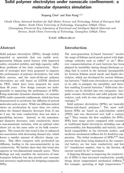 Solid Polymer Electrolytes Under Nanoscale Confinement A Molecular