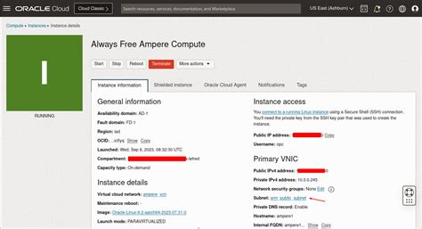 install wordpress and mysql on an oci arm server arm learning paths