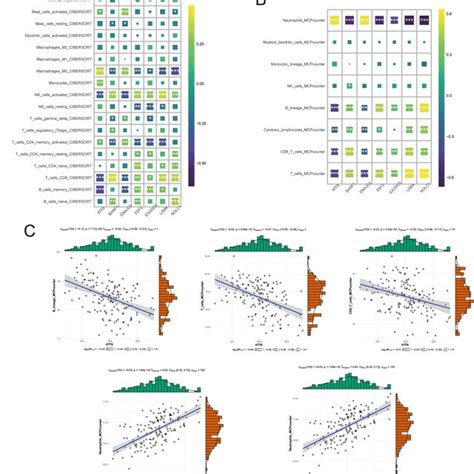 Immune Cell Infiltration Analysis Of Model Genes A Heatmap Depicting Download Scientific