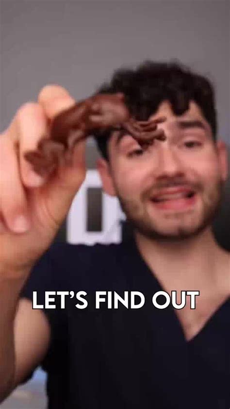 Lets Find Out If Harry Potter Snacks Will Give You Cavities Fatglob