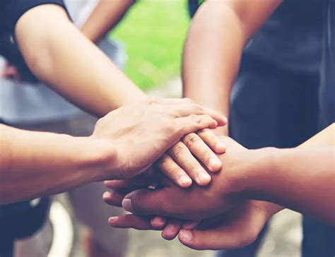 Bobolink Spiritual Meaning Power Of Creative Expression