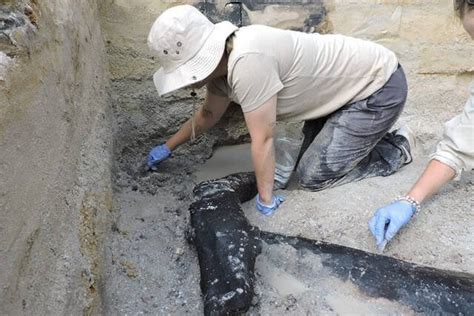 This Simple Log Structure May Be The Oldest Example Of Early Humans Building With Wood Rtriblive