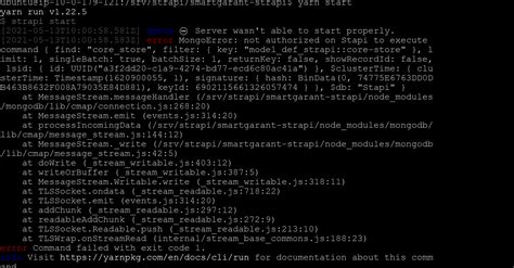 Strapis Roles On Mongo Atlas Full Cluster Access Database Mongodb