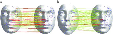 Matching Of Scans Of Same And Different Subjects Are Reported In A
