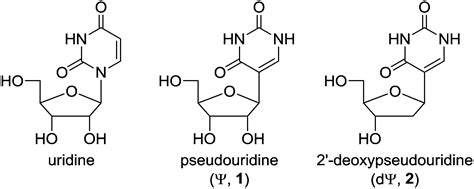 Pseudouridine