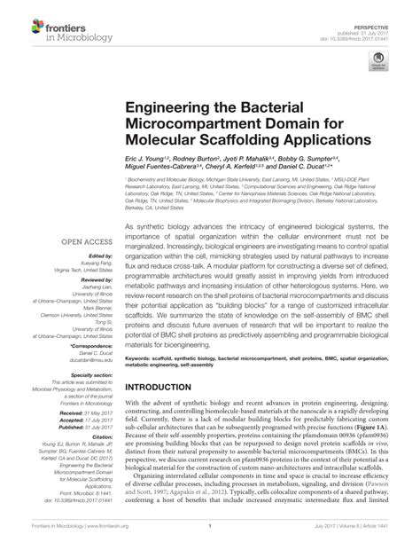 Pdf Engineering The Bacterial Microcompartment Domain For Molecular Scaffolding Applications