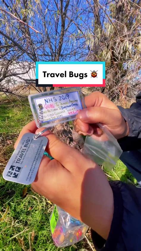 Travel Bug Memes There Is Always One More Bug To Fix