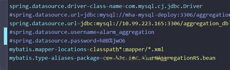 Spring Boot中自定义数据源属性注入 Xiaoyujane 博客园