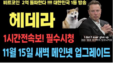 헤데라 헤데라코인 헤데라코인전망 코인전망 비트코인 이더리움 도지코인 Youtube