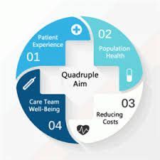 38 Quadruple Aim Ideas Infographic Infographic Design Infographic