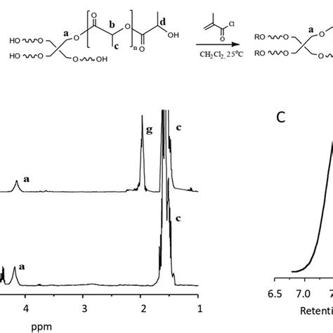 A Synthesis Of Star Shaped Methacrylate Terminated Polylactide B 1 H