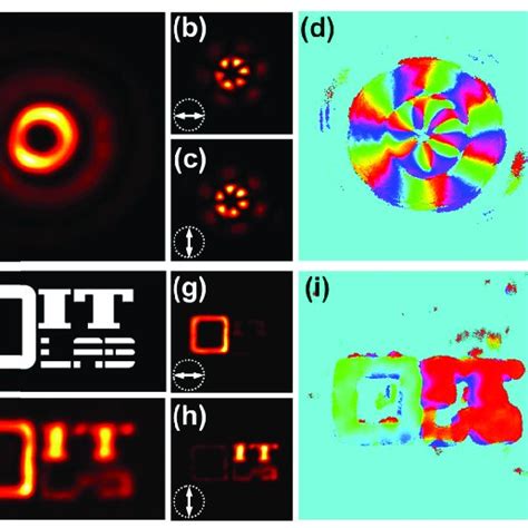 constructed vector fields with complex intensities and polarization