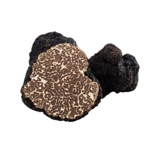 Fresh Tuber Mesentericum Black And White Truffles Online Fresh Tuber Mesentericum Black And White Truffles Online