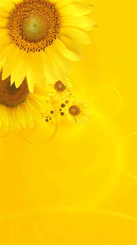 100 Cute Pastel Yellow Wallpapers