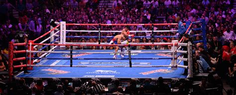 Best Mgm Fights