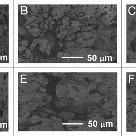 Sem Micrographs Of The Composites Of Polyl Lactide Co ε Caprolactone